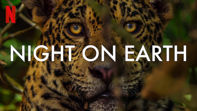 Night on Earth (2020) - Netflix | Flixable